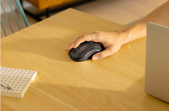 Bring On the Budget-Friendly Basics! High-Quality Webcam and Mouse are ...